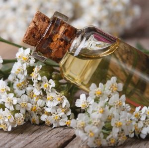 15 Soothing Essential Oils for Bee Stings - Castor Oil Guide