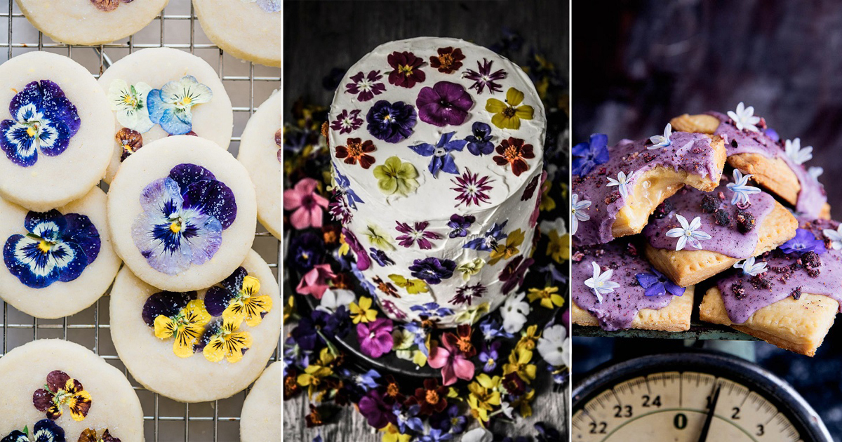 7 Delicious Edible Flower Recipes to Brighten Your Winter Table ...