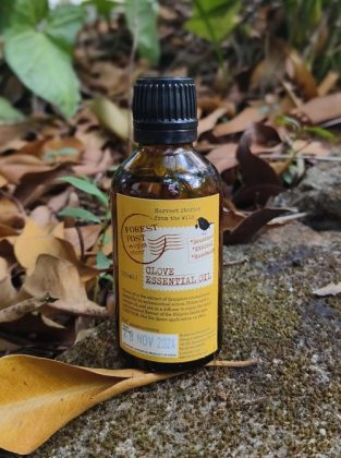 What Happens When You Use These Clove DIYs on Your Skin? - Castor Oil Guide