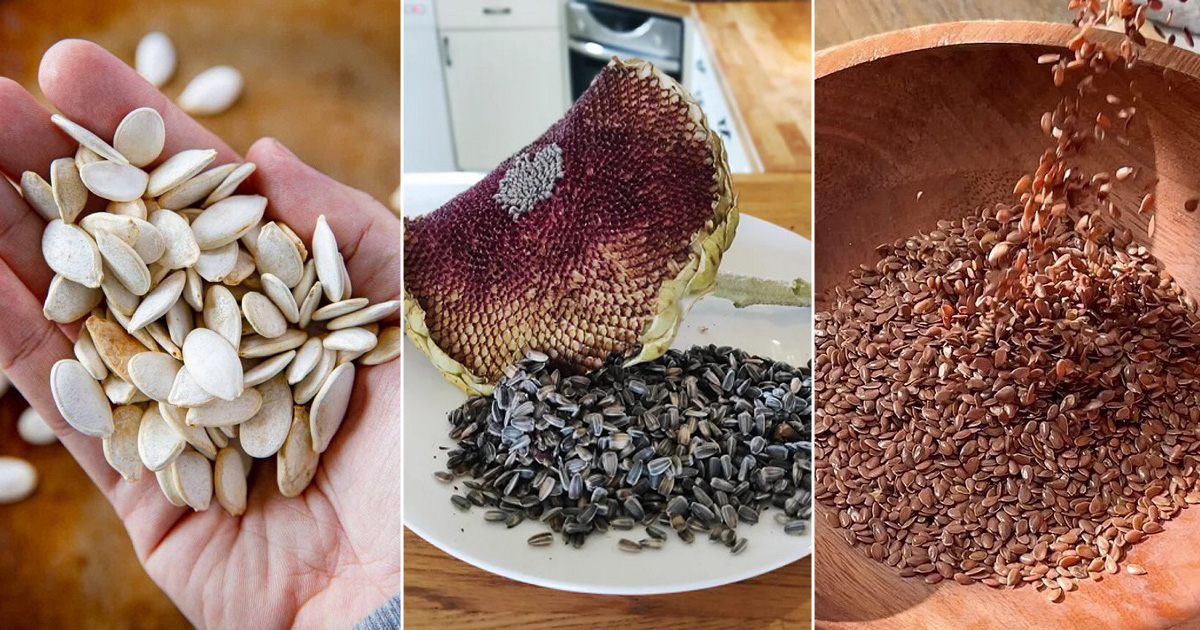 High Magnesium Seeds You Should Add to Your Diet - Castor Oil Guide