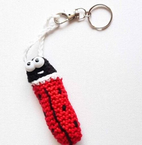10 Unique Crochet Chapstick Keychain Ideas - Castor Oil Guide