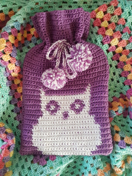 9 Stylish and Practical Crochet Hot Water Bottle Cover Ideas - Castor ...